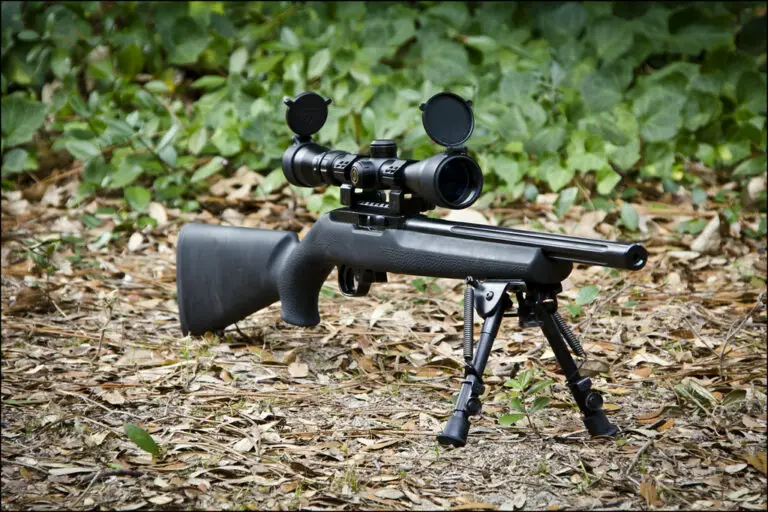 5 Best Ruger 10/22 Scopes | Reload Your Gear